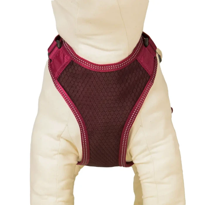 Mesh Dog Harness S | Montbell America